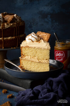 Easy All In One Biscoff Cake Recipe