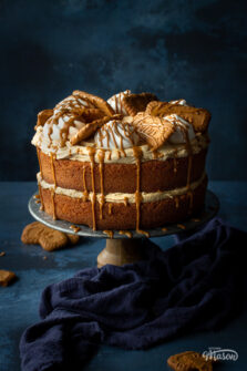 Easy All In One Biscoff Cake Recipe